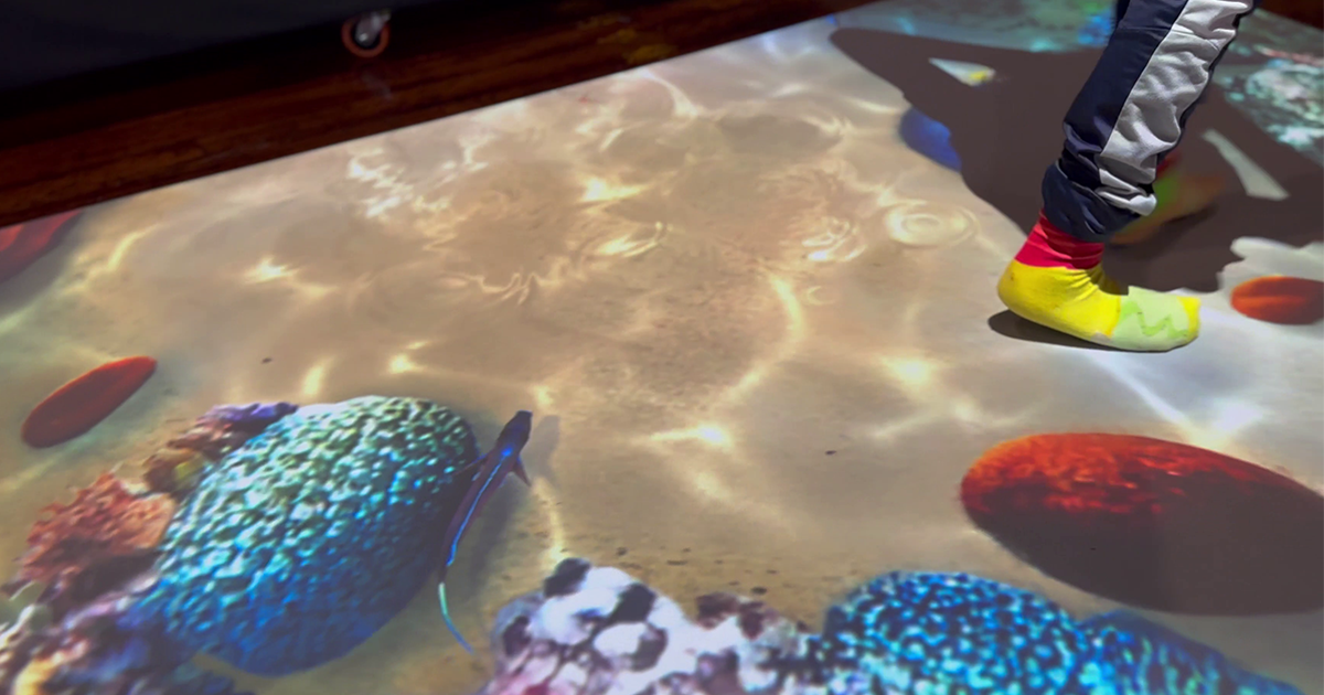 Explore this interactive coral reef! | LUMOplay