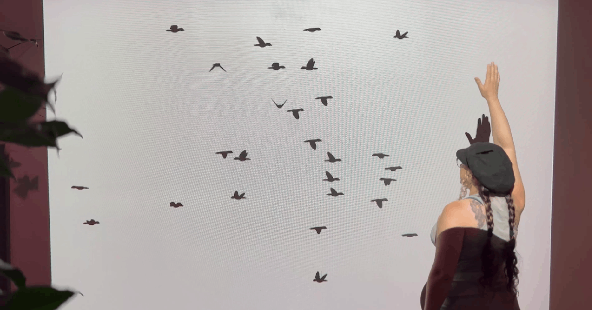 Interactive Flock of Birds | LUMOplay